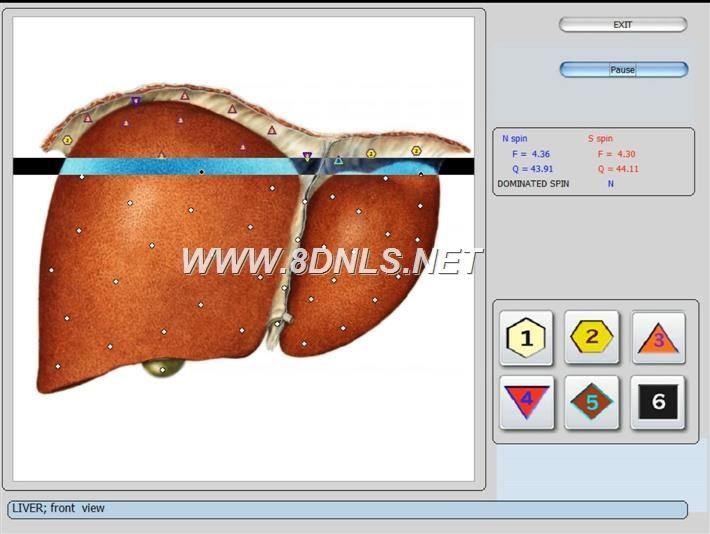 oberon metatron | 8D NLS | 8D LRIS | 8d nls health analyzer | 8d nls ...