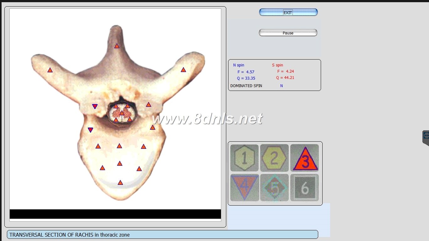 nls oberon Where need it? | 8D NLS | 8D LRIS | 8d nls health analyzer ...